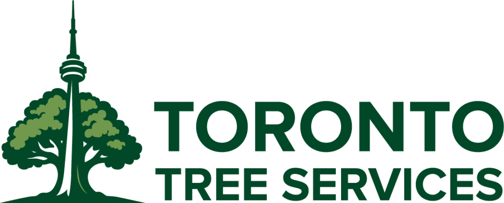 Toronto Tree Bylaw Guide 2026, Permits And DBH Rules